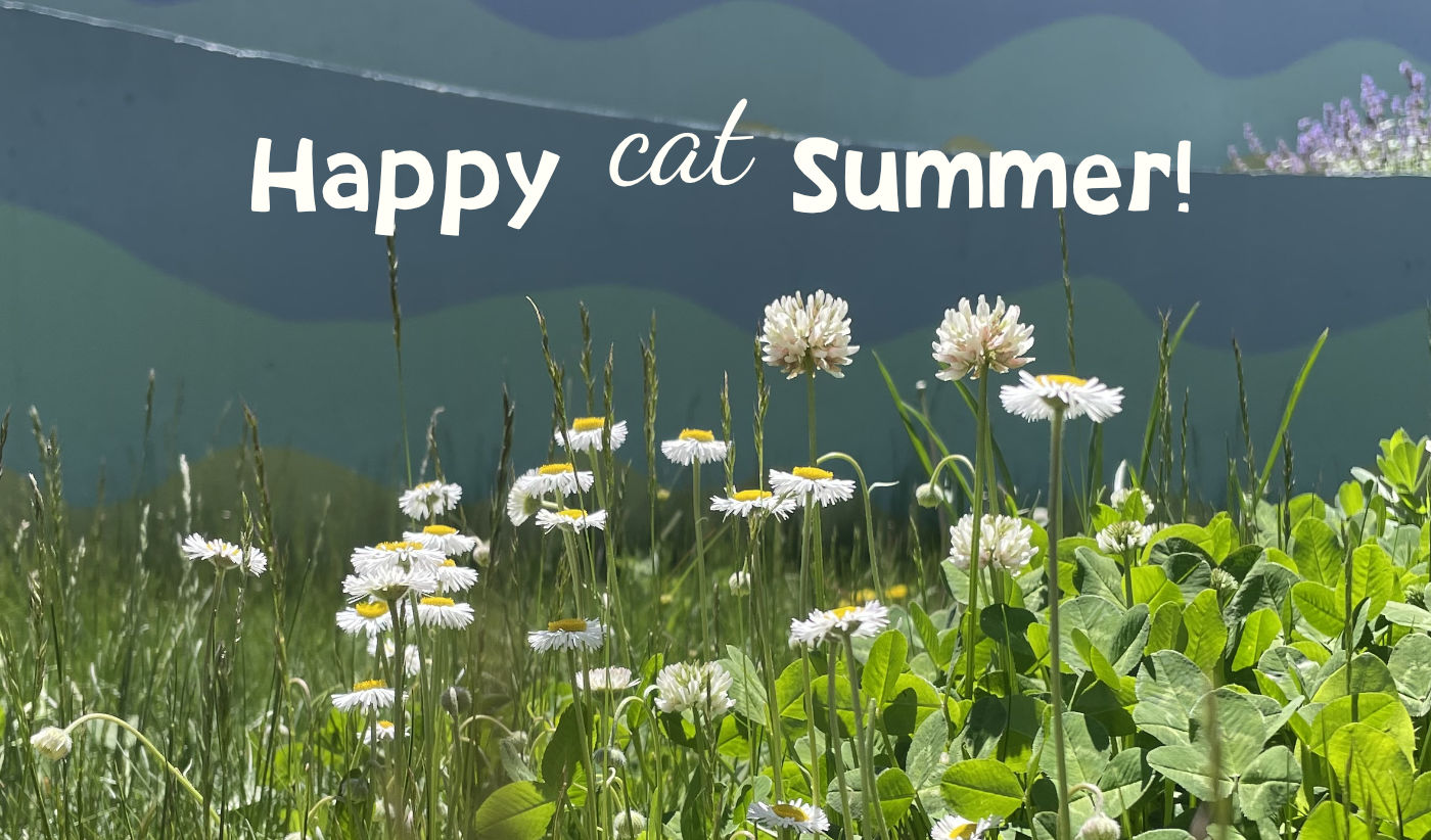 June newsletter | Happy Cats Haven