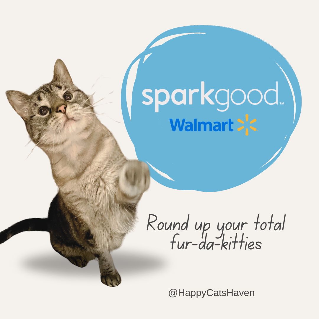 Walmart Spark Good | Happy Cats Haven